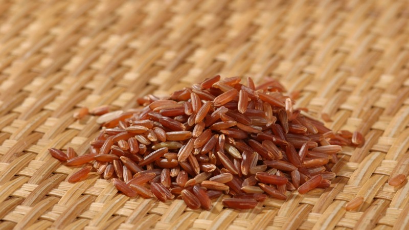 Thai Rice Premium Quality | Golden Grain Enterprise